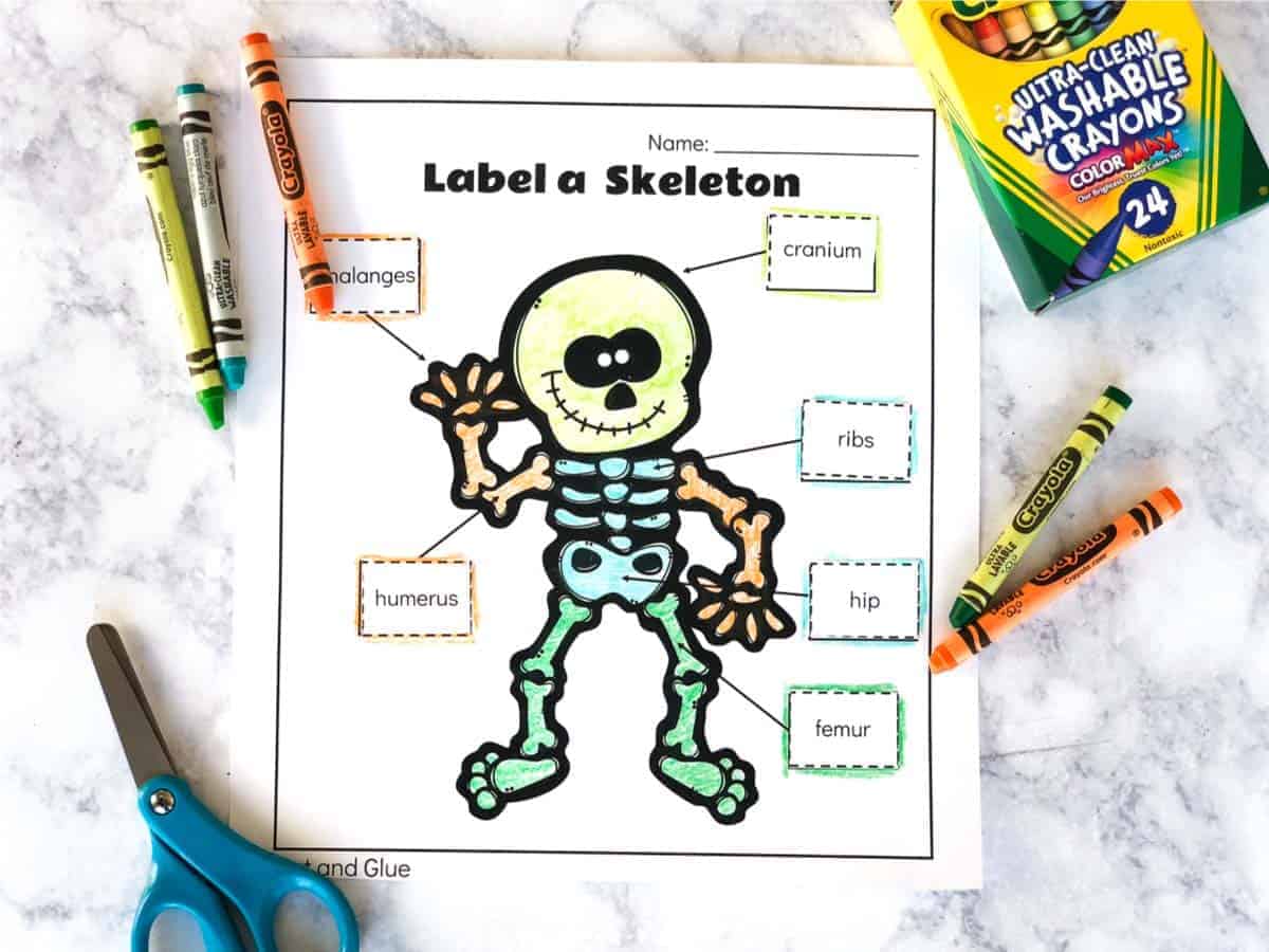 15 Easy Skeleton Crafts for Kids: Fun for All Ages